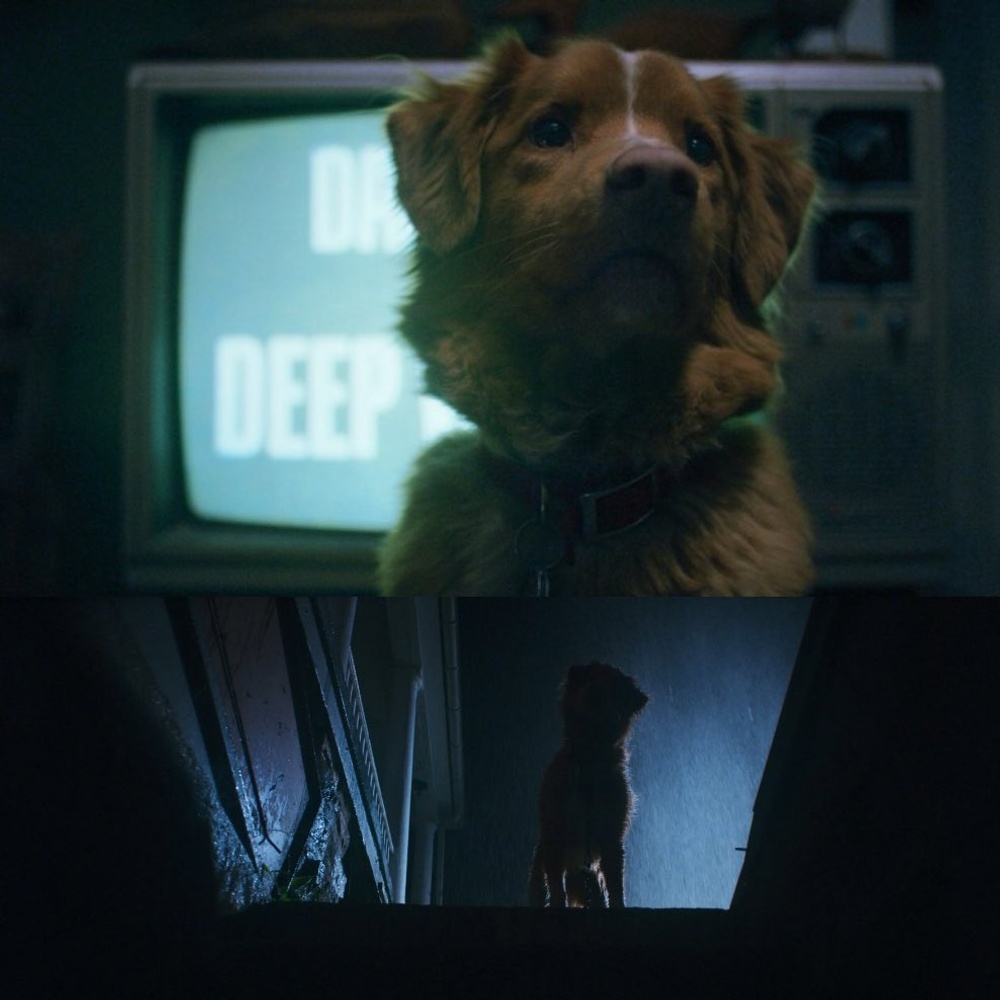 GOOD BOY (2025) - Film - Cinoche.com