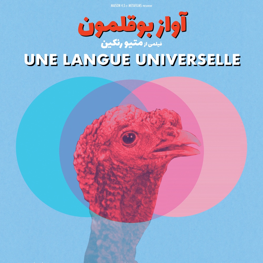 UNE LANGUE UNIVERSELLE (2024) - Film - Cinoche.com